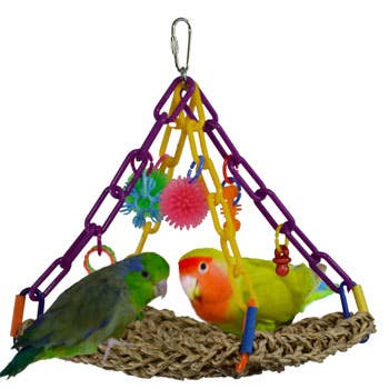 Mini Flying Trapeze – Avian Haven